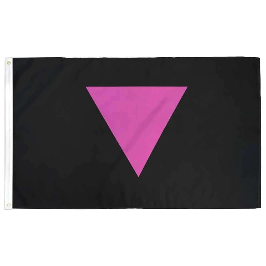 Pink Triangle LGBT Pride Flag - Rainbow Republic