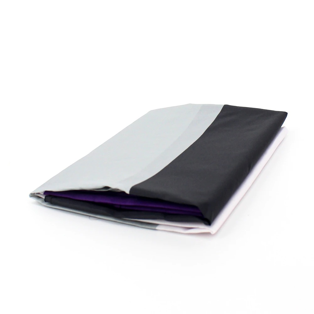 Asexual (Ace) Pride Flag - Rainbow Republic