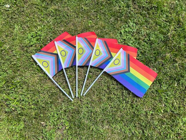 Intersex Progress Pride Hand Flags x5 - Rainbow Republic