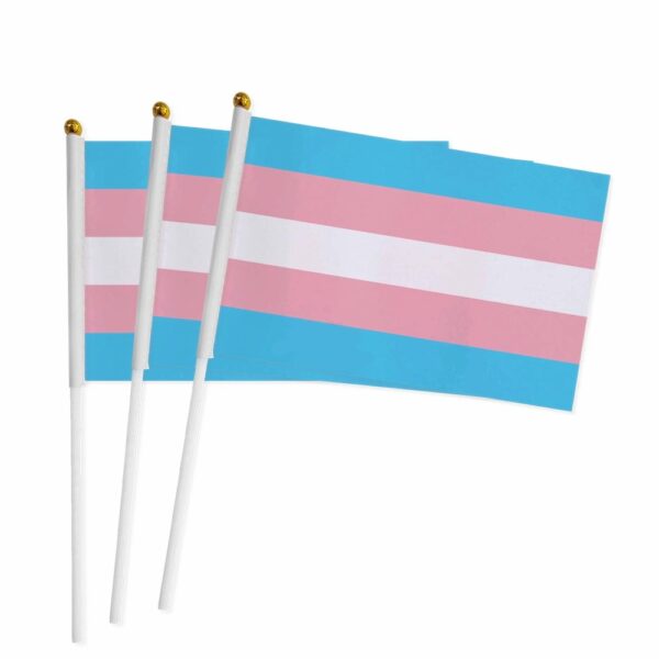 Transgender (Trans) Pride Hand Flags x5 - Rainbow Republic