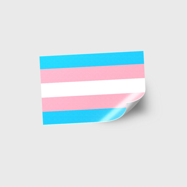 Trans Pride Sticker - Rainbow Republic
