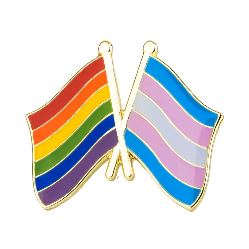 Rainbow & Trans Flags Pin - Rainbow Republic